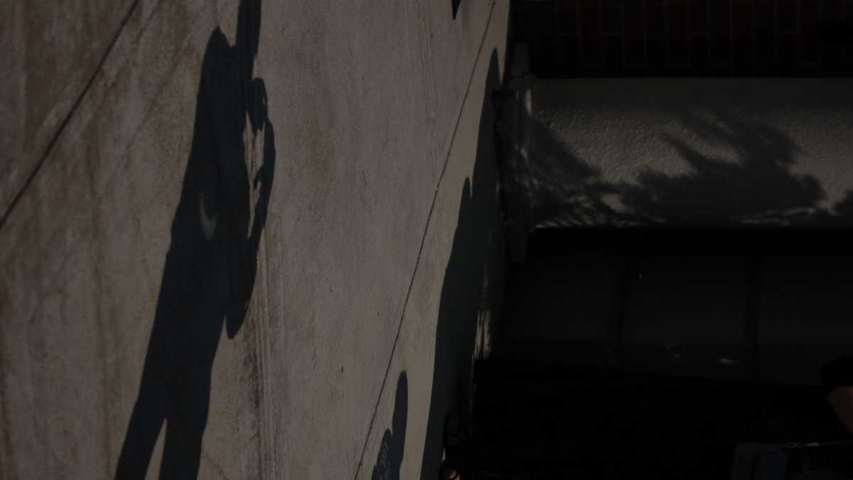 Photos: Solar eclipse in New Hampshire