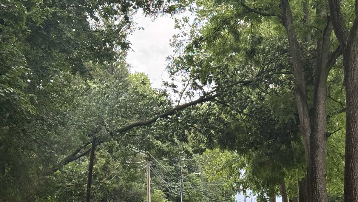 PPL shares tips for staying safe during storms