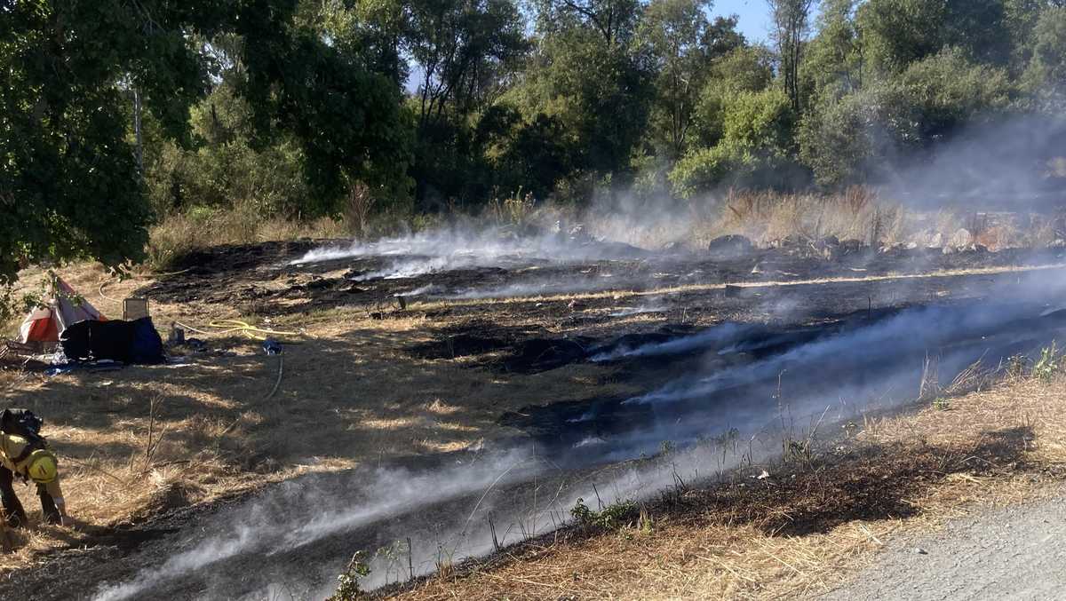 Vegetation fire in Pajaro stopped