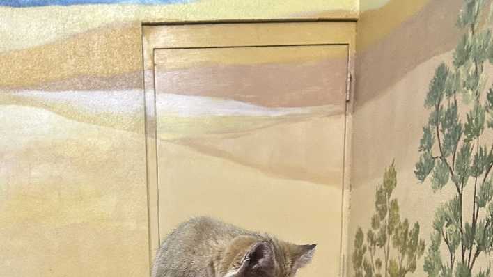 Alabama zoo spreads the love with special Valentine's Day display