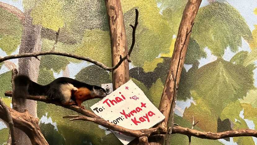 Alabama zoo spreads the love with special Valentine's Day display