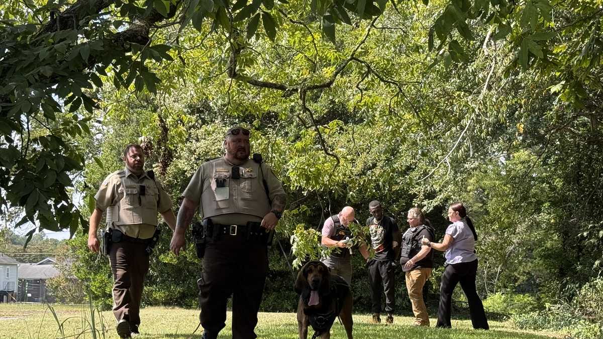 Georgia: Man wanted for Toccoa stabbing captured after brief escape