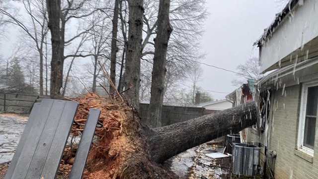 Video, pictures of flooding, downed trees from Thursday's storms