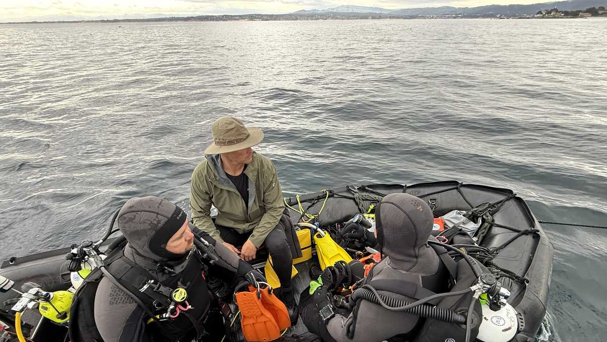 Sheriff’s dive team searches for swimmer missing after reported shark ...
