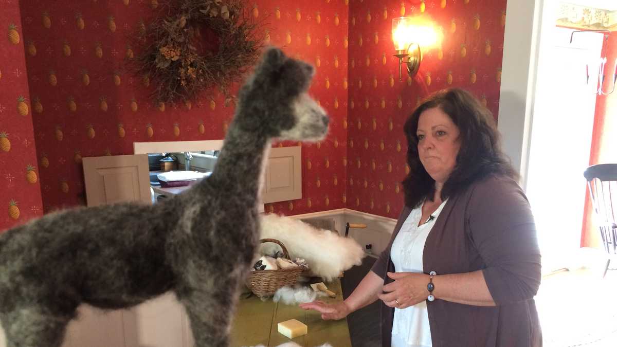 Photos: Buxton woman makes alpaca soap