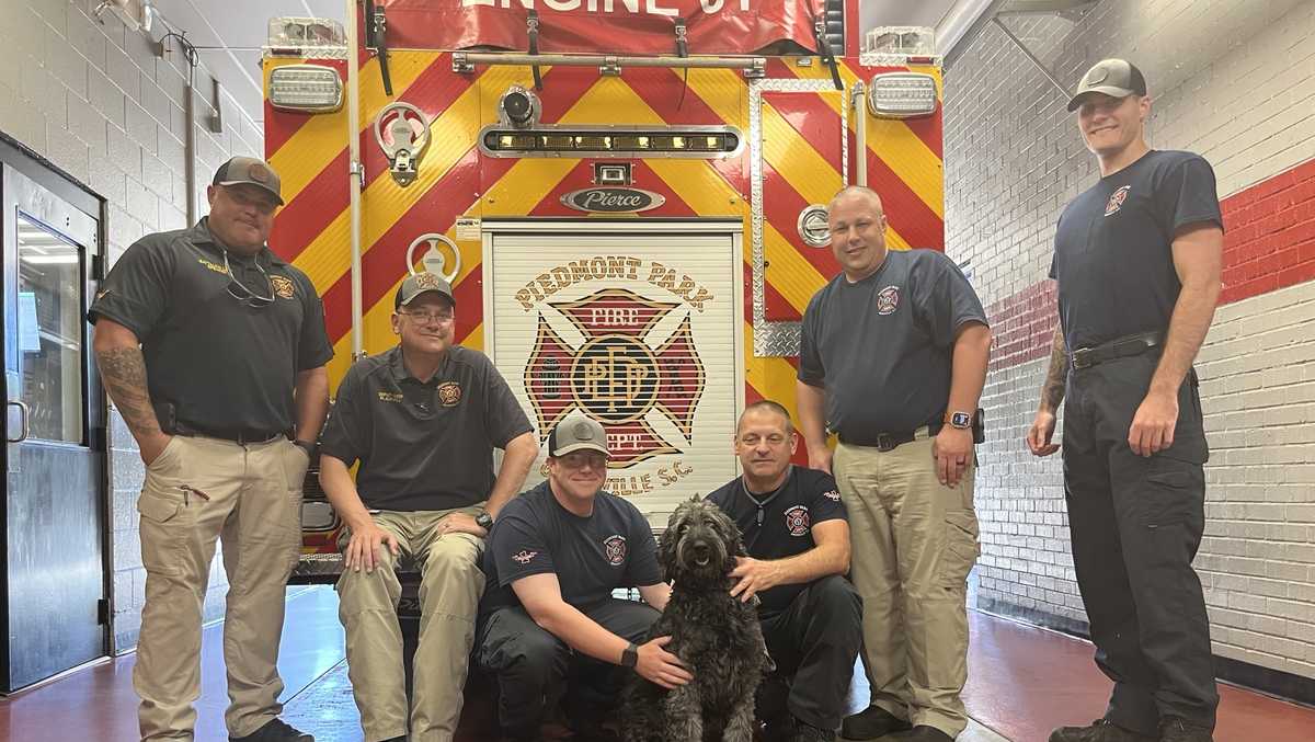 South Carolina: Lost dog finds new home and family at fire department