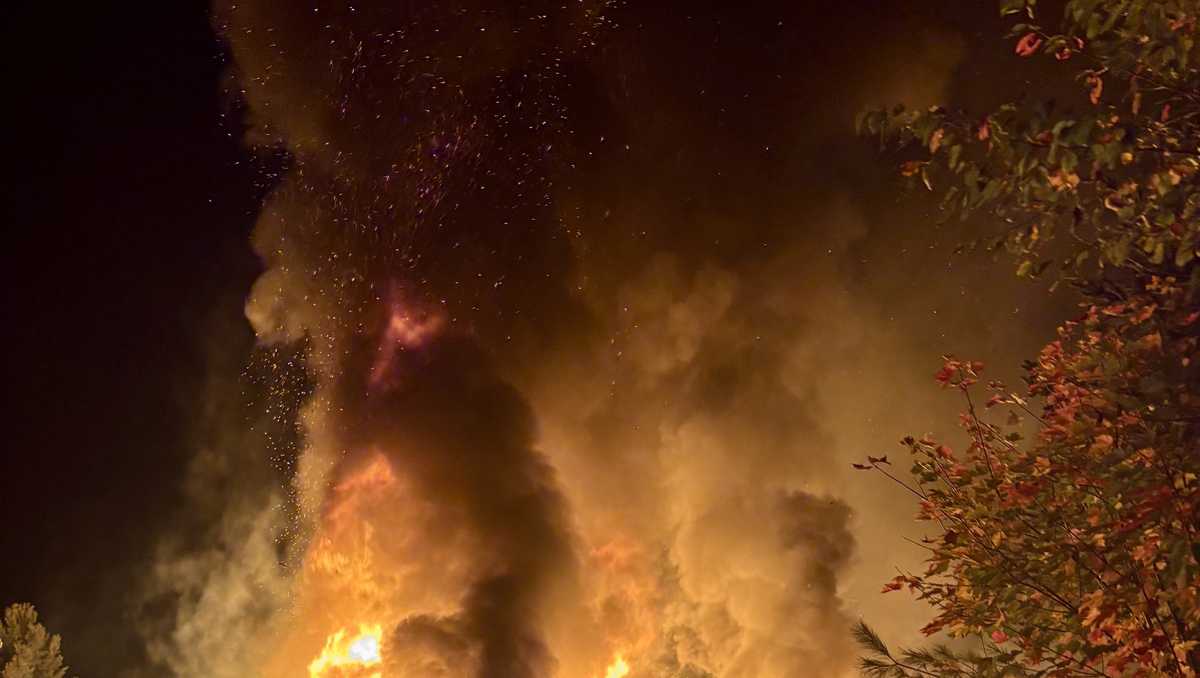 Avon, Maine, house fire kills nearly a dozen dogs, several cats