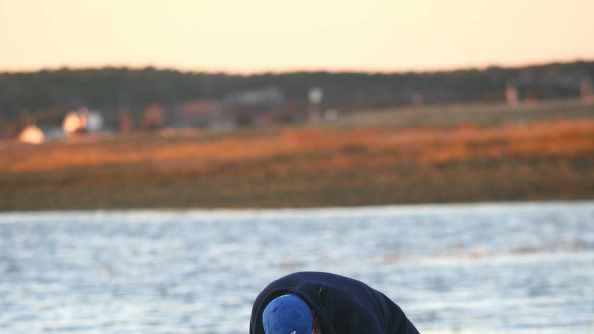 Photos show dolphins being rescued from Wellfleet harbor