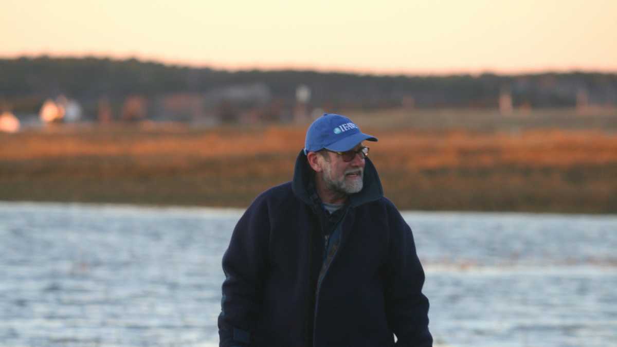 Photos show dolphins being rescued from Wellfleet harbor