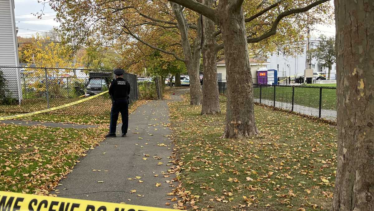 2 charged with murder in connection with stabbing in Chelsea park