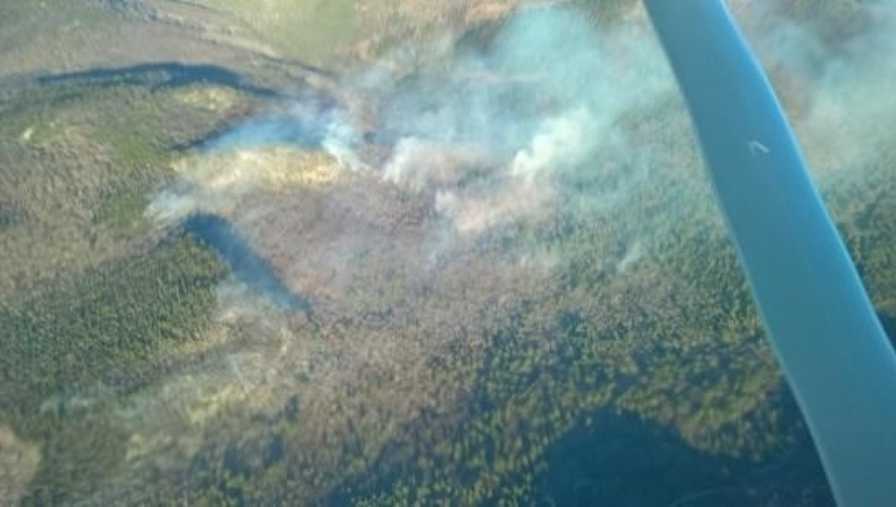 Firefighters expect Covered Bridge Fire to be contained tonight