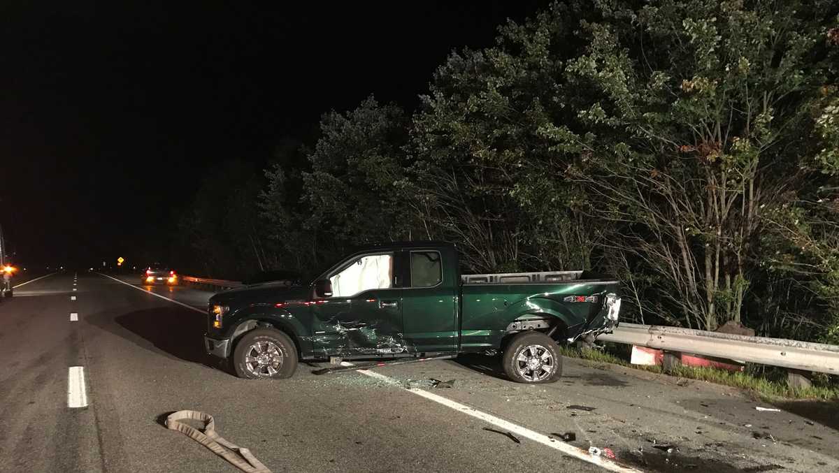Moose causes four-car crash on Route 101