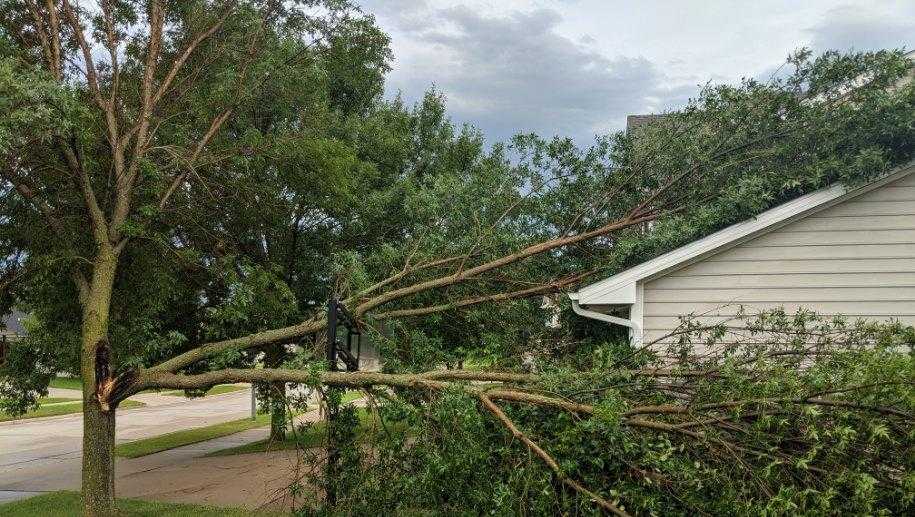 PHOTOS: Severe thunderstorms leaves damage across the metro