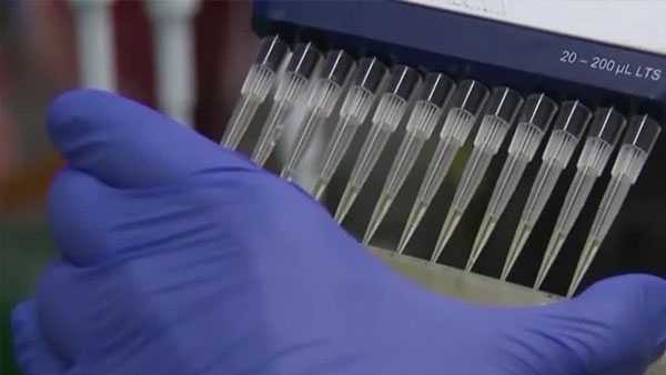 Gov. Eric Holcomb signs executive order extending Stage 5 of Indiana's ...