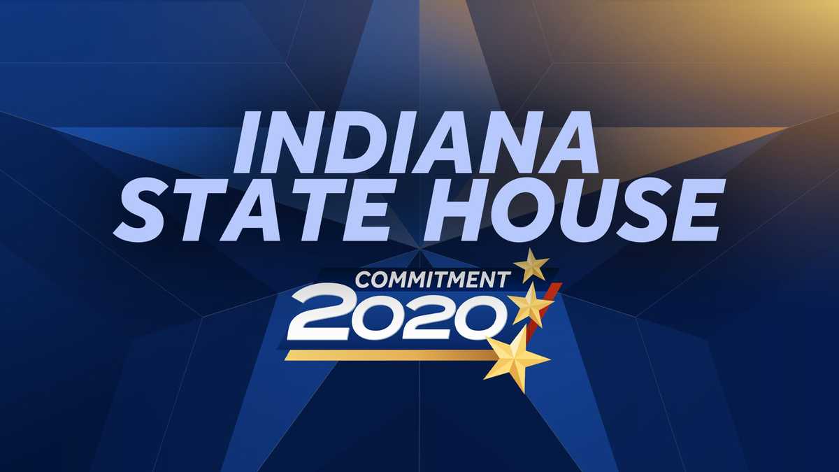 Indiana state House election results: November 2020