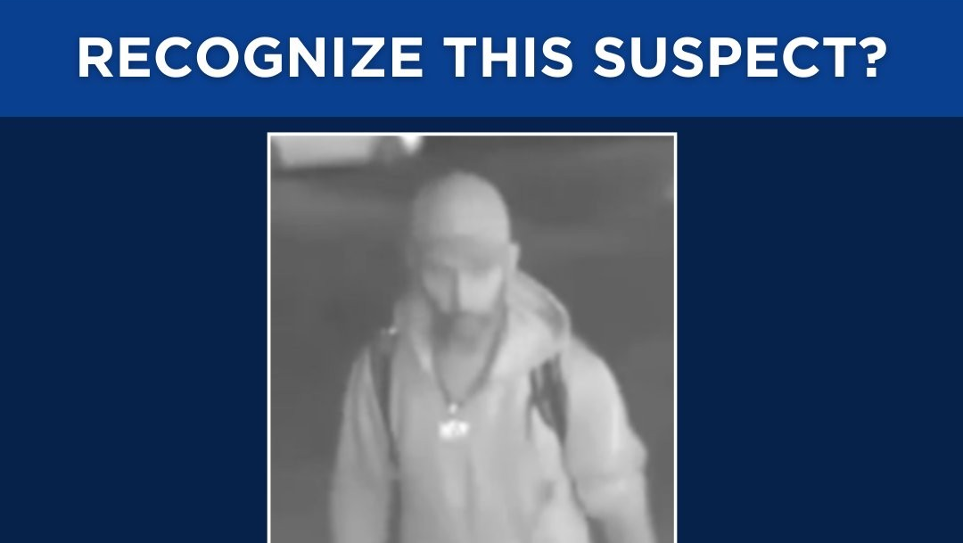 CPD requesting assistance in identifying a suspect in a theft