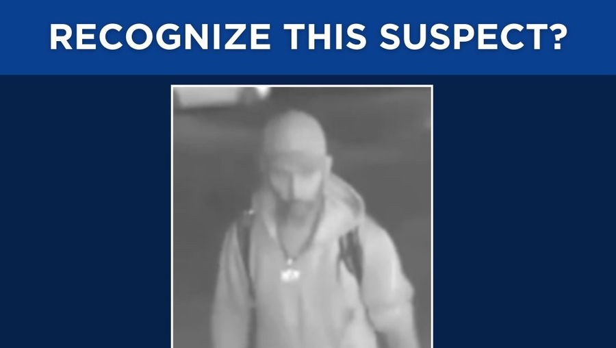 CPD requesting assistance in identifying a suspect in a theft