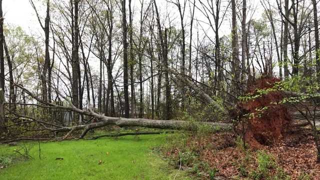 Pictures: Damage left behind after Monday storms
