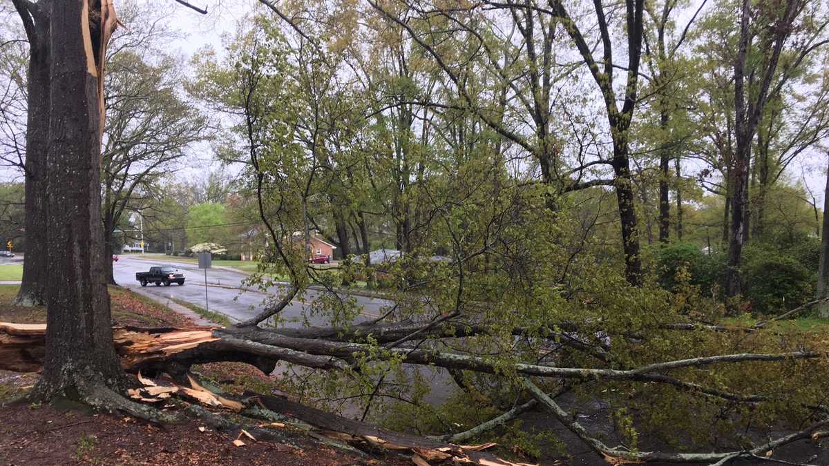Pictures: Damage left behind after Monday storms