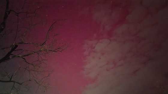 Northern Lights: Colorful skies seen across Maryland