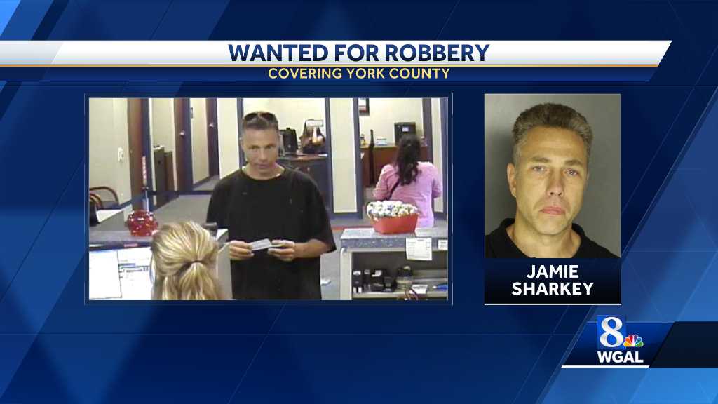 Police search for man in connection with York County robbery