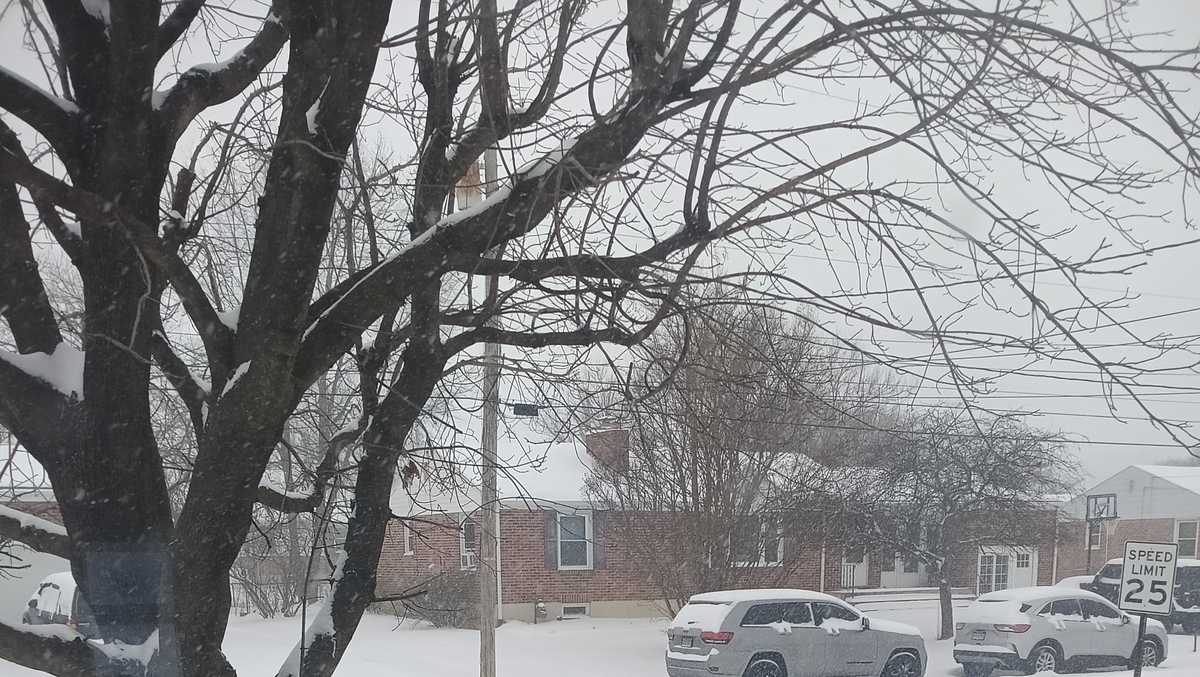 Major Snow Storm 2026: Pictures from the people