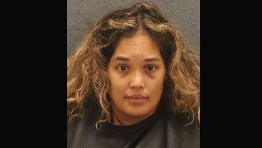 Walhalla: Woman faces 219 charges after criminal sexual investigation ...