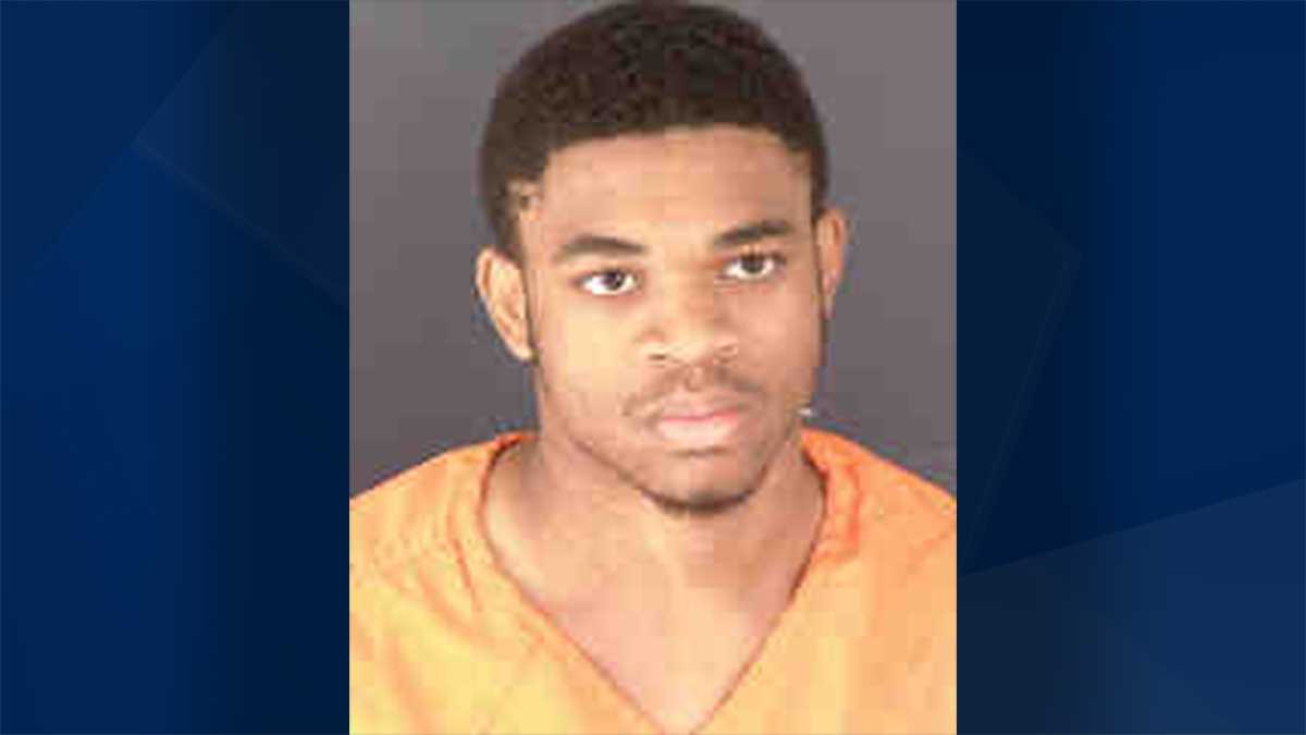 North Port police arrest two teens following stolen vehicle chase