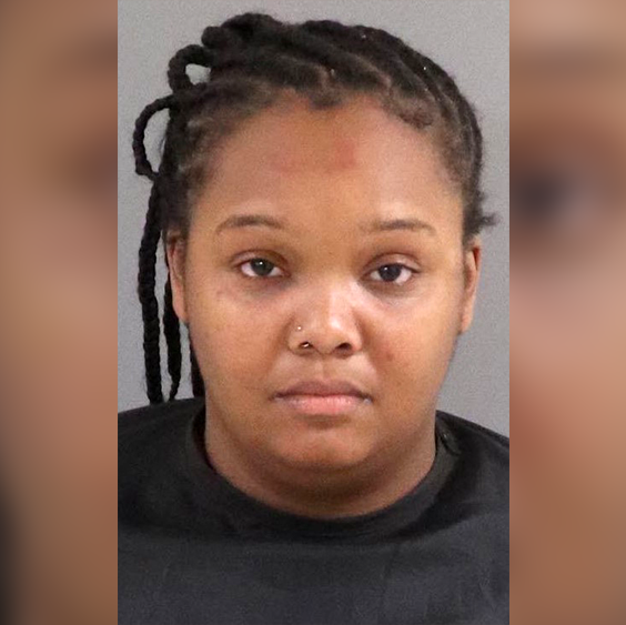 South Carolina woman charged with murder after domestic shooting