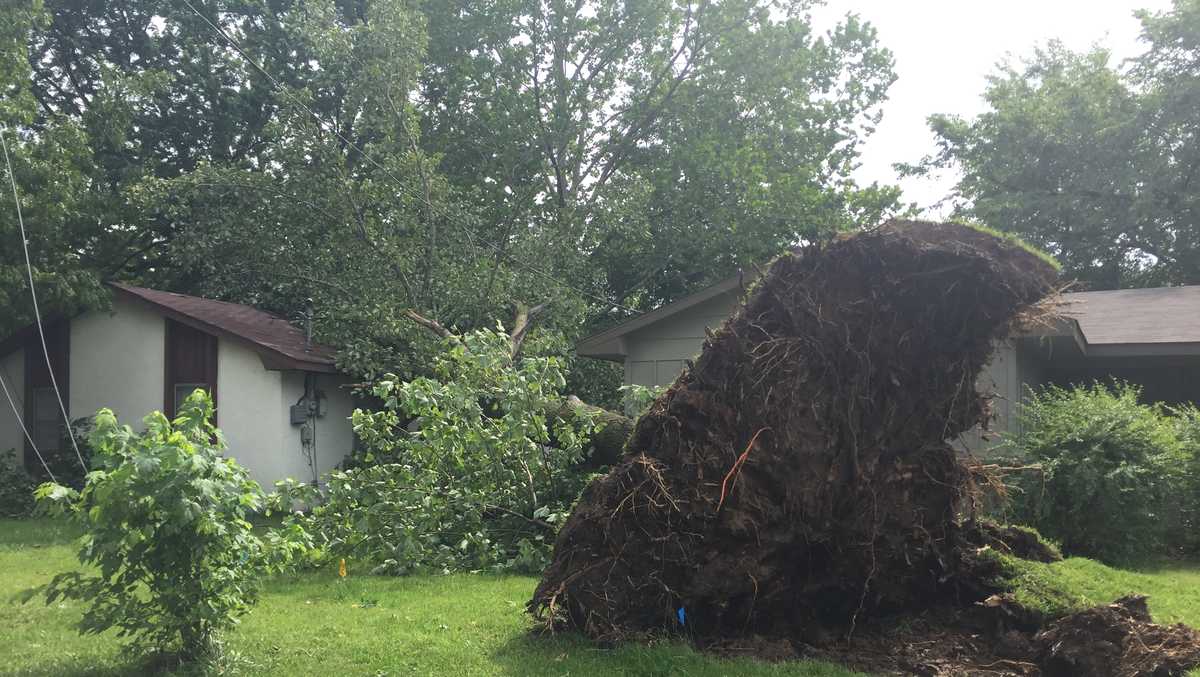 Storms topple trees early Friday morning