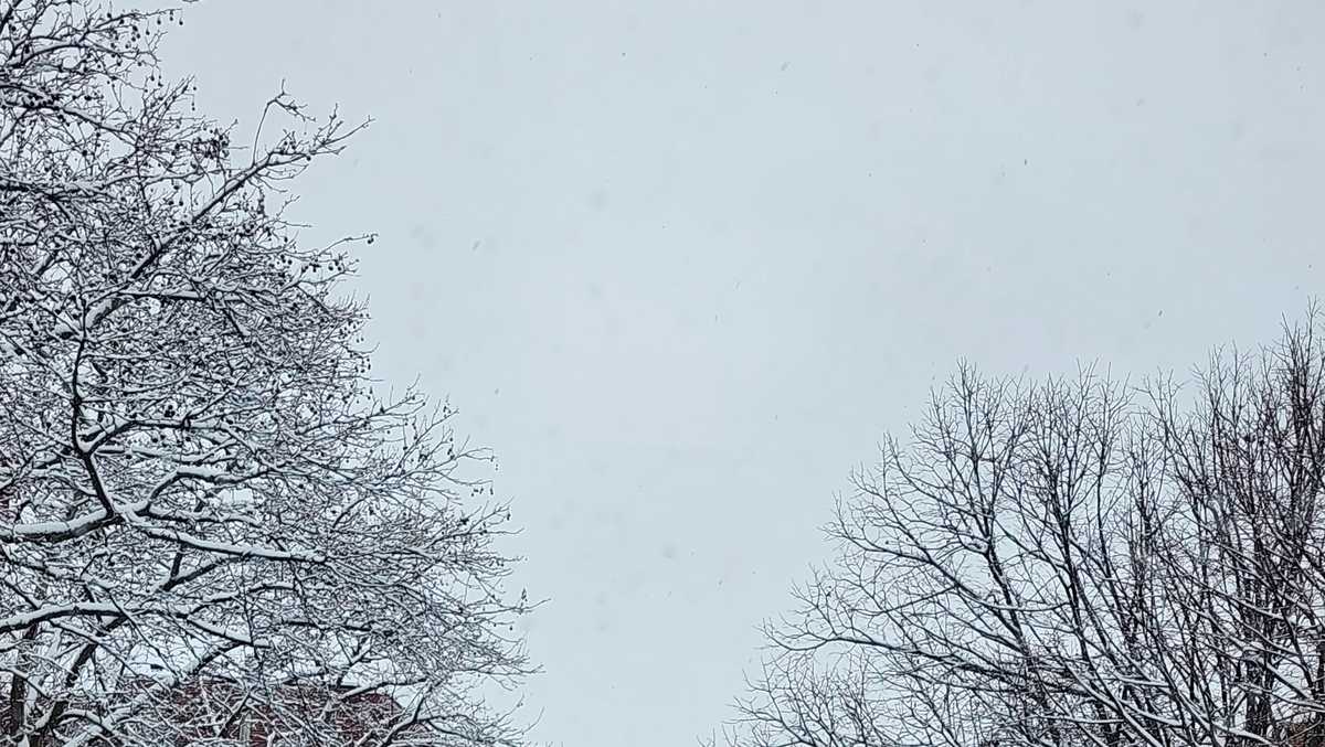 Second snowfall in a week in Maryland in photos