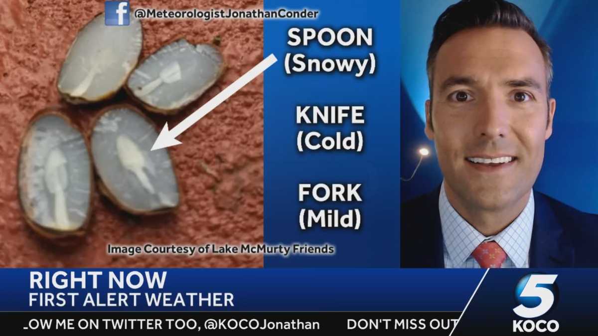 Oklahoma Winter persimmon outlook