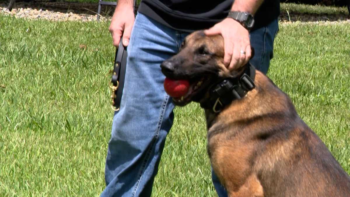 Jeannette police will have a K-9 program again