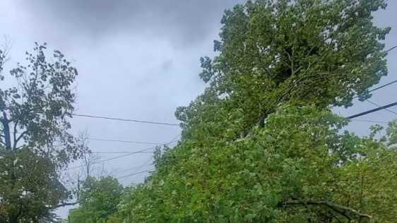 Photos: Severe storms bring damage, flooding across Massachusetts