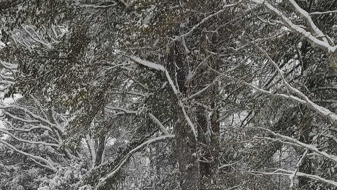 Gallery: Images from Maine's heavy snowfall across state