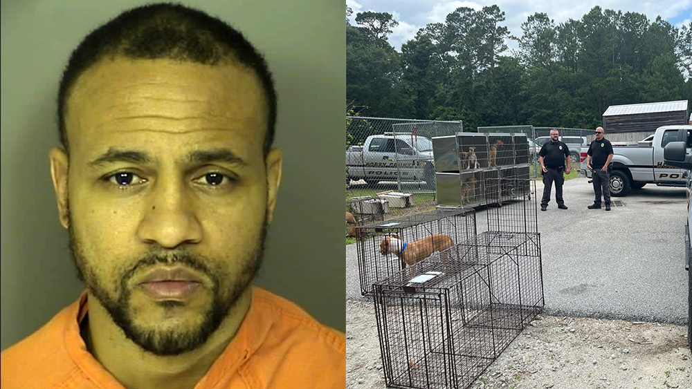 South Carolina man arrested for mistreating animals, dog fighting