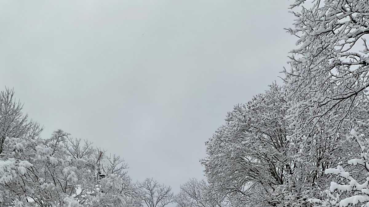 Snowfall totals across Maryland on Dec. 14, 2025 | Photos