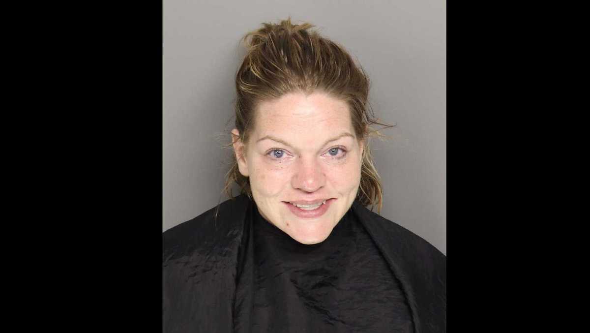 Greenville woman 'intentionally' hit EMS worker with truck with infant ...