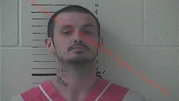 Suspect accused of stabbing K-9; dog expected to recover