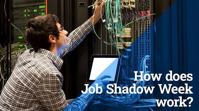 WLWT CommUNITY: Virtual Job Shadow Week to give Ohio students free ...