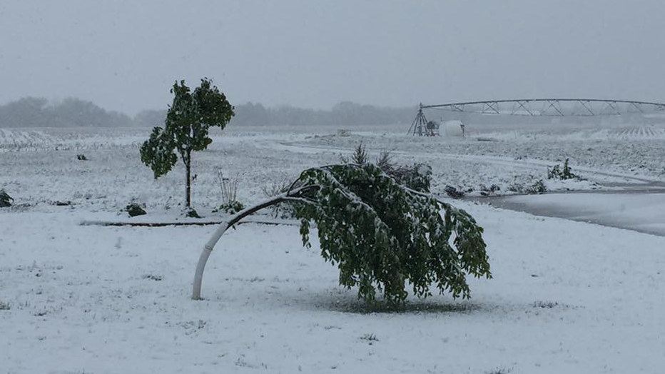 PHOTOS: Snow sweeps through parts of Nebraska