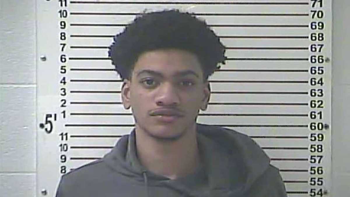 18-year-old accused of kidnapping, stabbing teen sisters