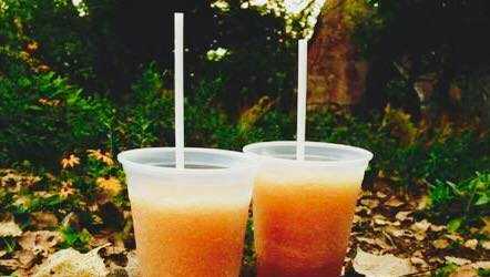 Kansas City's 5 best places to pick apples