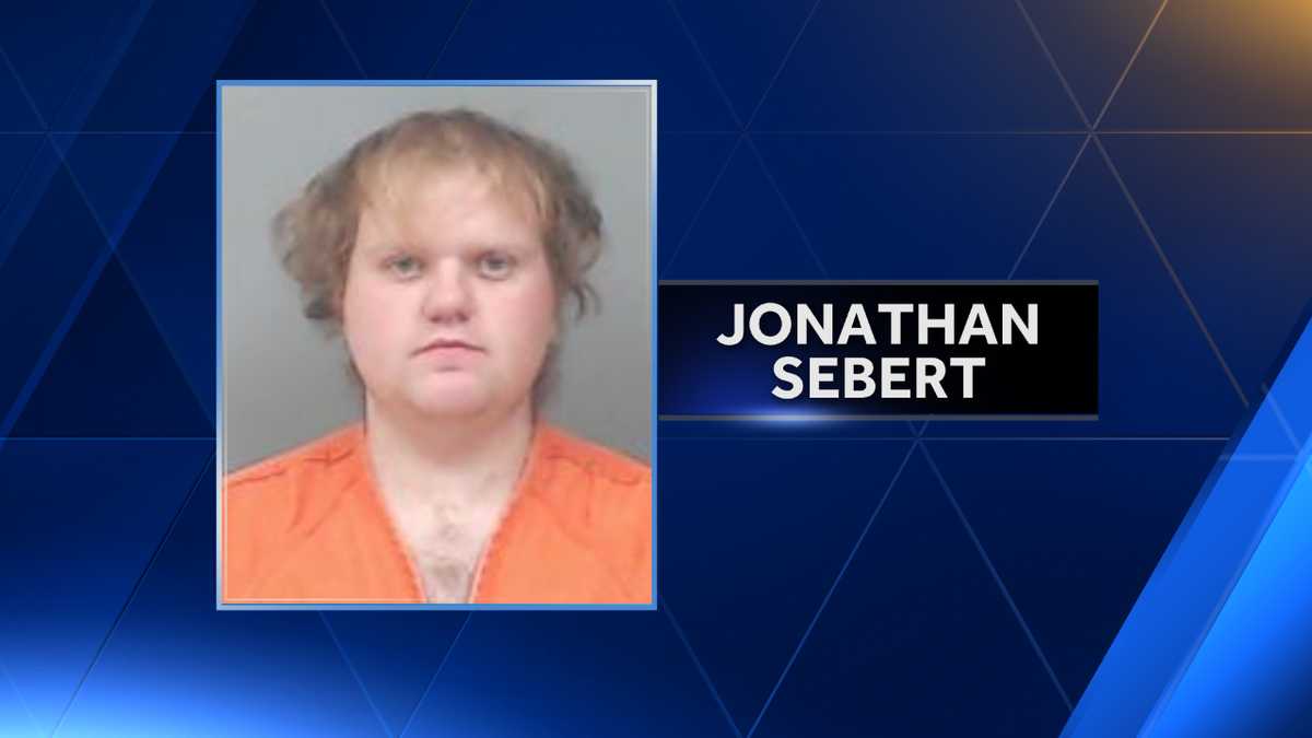 Clarion man pleads guilty to receiving child pornography