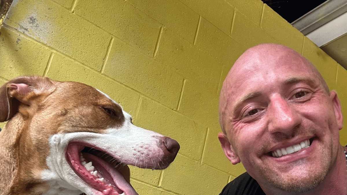 Covington 100 kennel dog shelter challenge