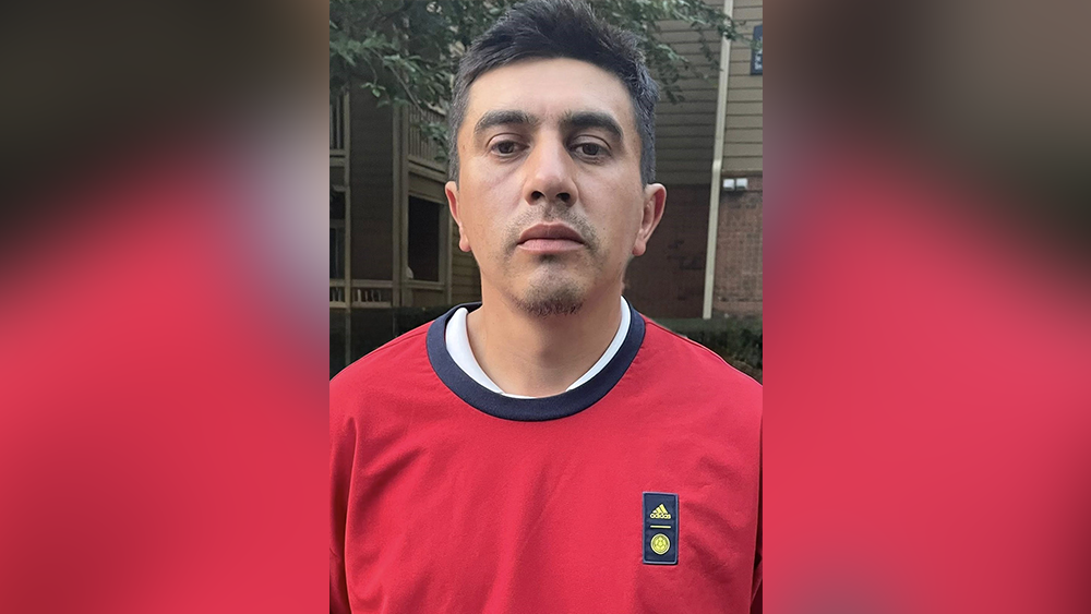 Georgia: Suspect captured hours after deadly stabbing