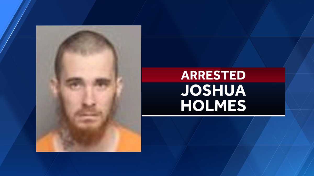 SC: Man arrested on multiple sex charges involving minor