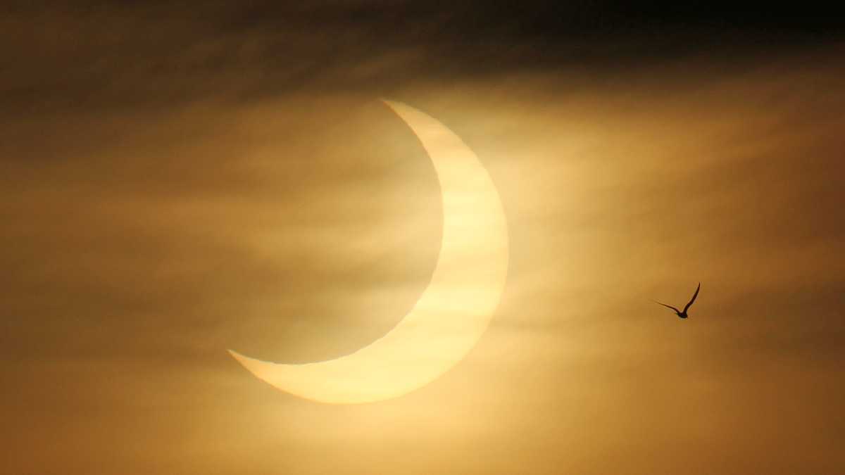 'Solar horns' partial eclipse delights early-morning skywatchers