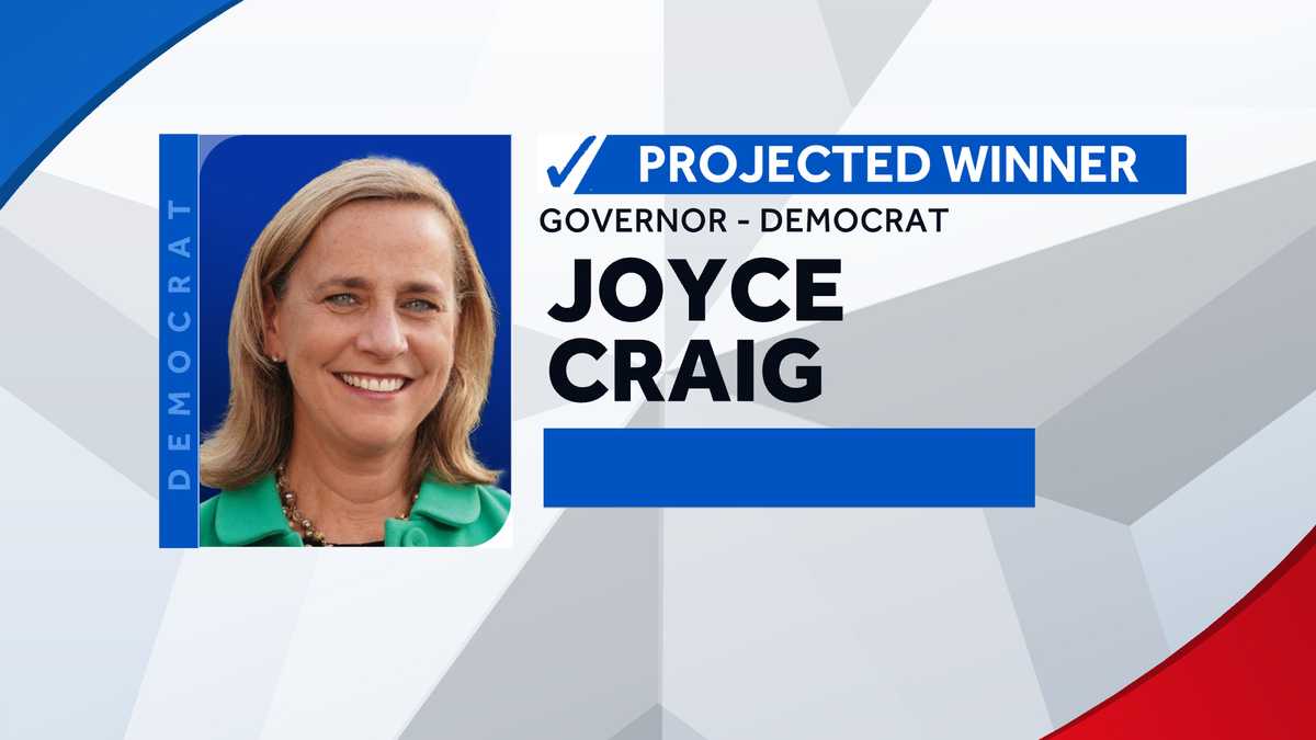 AP projects Craig wins Democratic nomination for NH governor