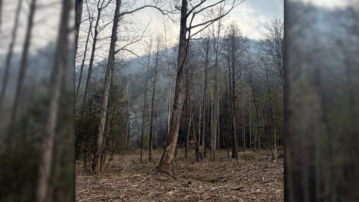NC Forest Service gives final update on Jumping Branch fire in Marion